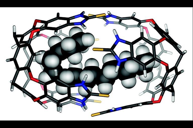 The hole story of how cage molecules could transform synthesis and ...